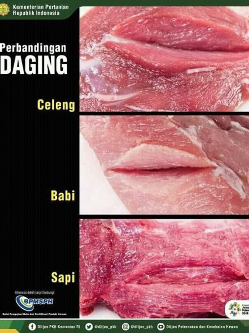 Cerdas dan Pintar Memilih Bahan Pangan Asal Hewan yang Aman Sehat Utuh ...